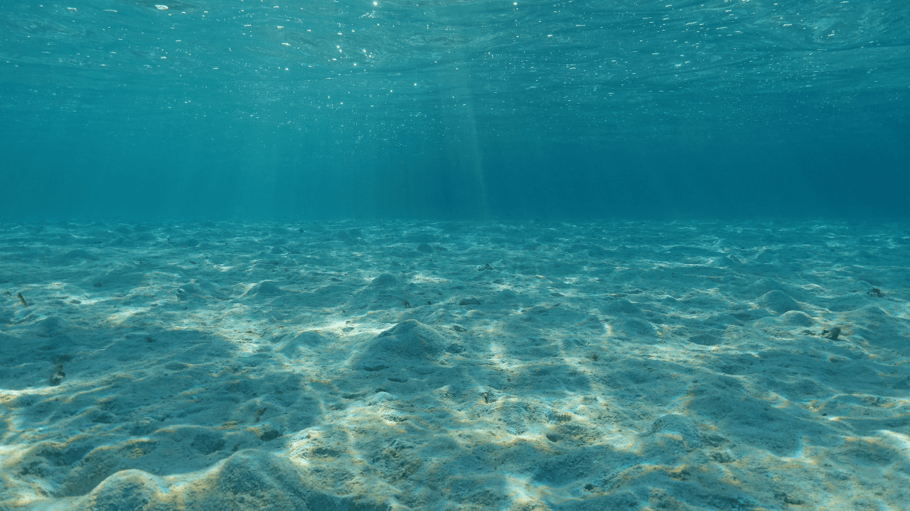 Exploring the Depths: The Role of Side Scan Sonar in Underwater Mapping ...